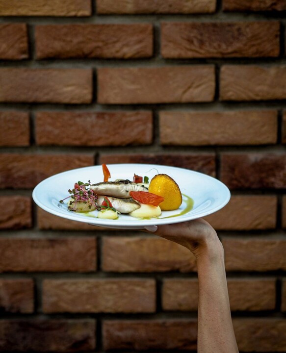 Salut Restaurant - Moderní restaurace v Holešovicích